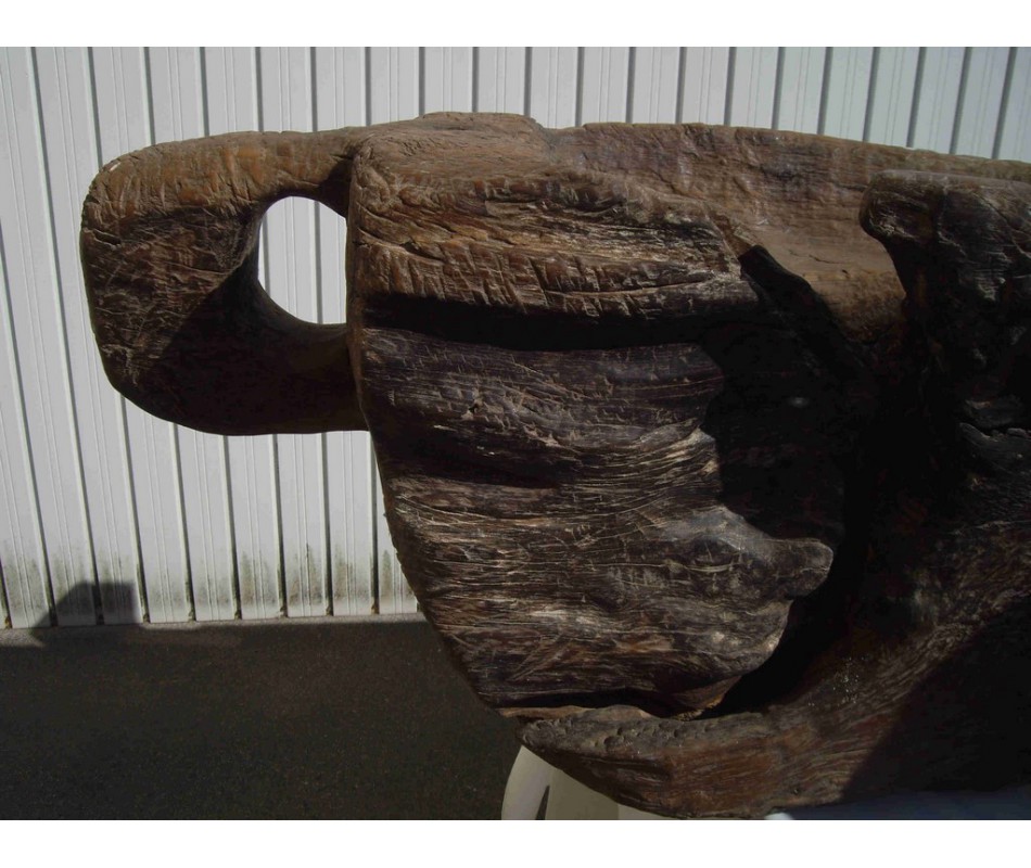 BARCA MADERA TRONCO MACIZO