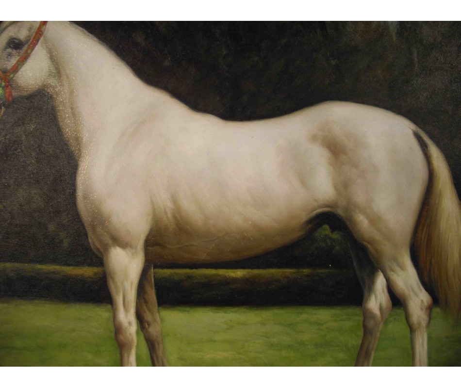 OLEO SOBRE LIENZO CORCEL BLANCO